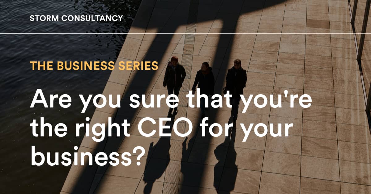 Are You Sure That You're the Right CEO for Your Business? | Storm ...